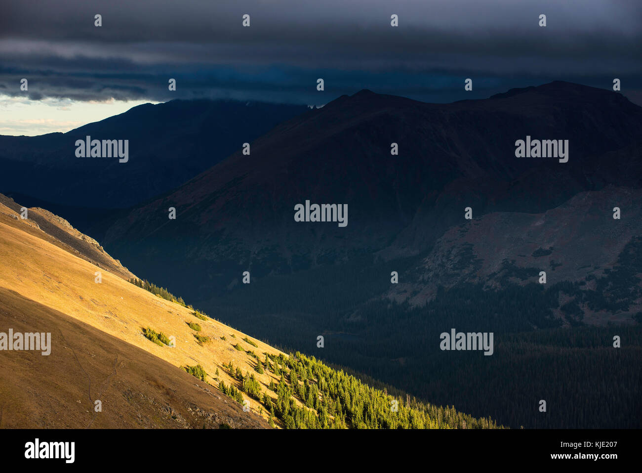 Evening Light, Rocky Mountain NP, Colorado, USA by Bruce Montagne ...