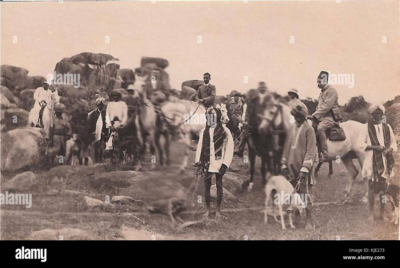 Early 1900s animals hi-res stock photography and images - Alamy
