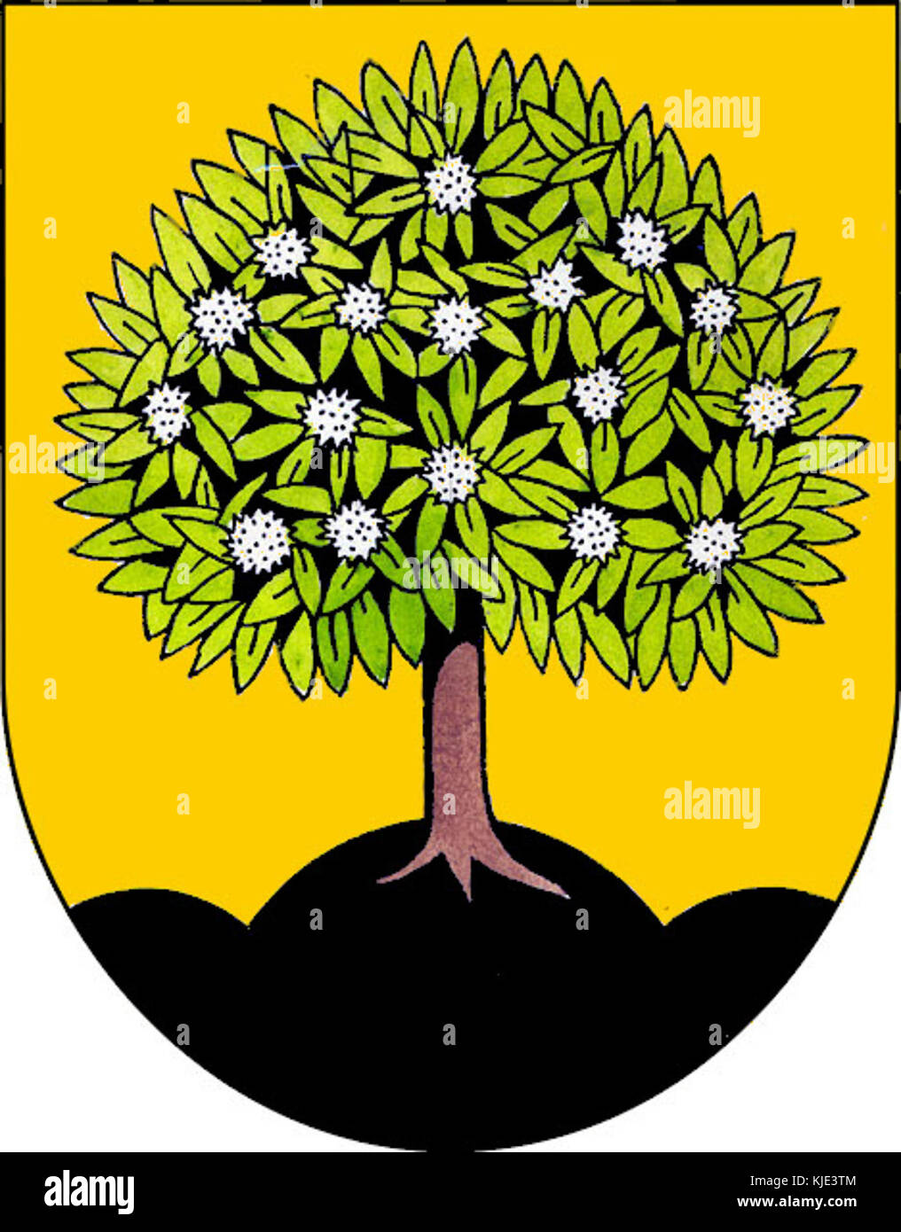'Znak obce Nasavrky' refers to the coat of arms of the municipality of ...