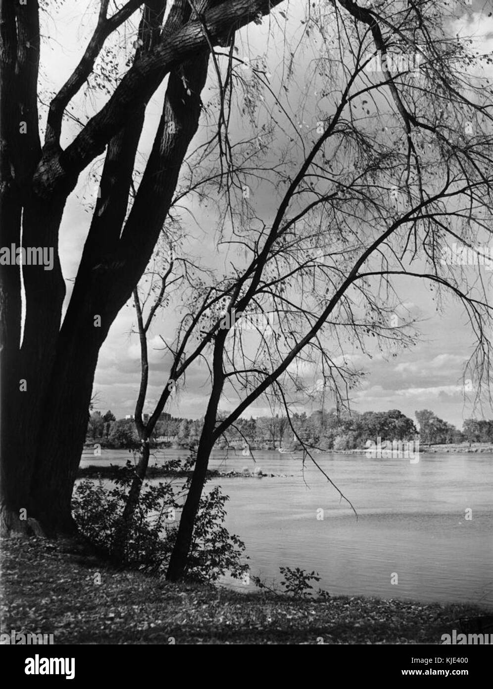 View. Fall Scene Bordeaux BAnQ P48S1P14483 Stock Photo - Alamy