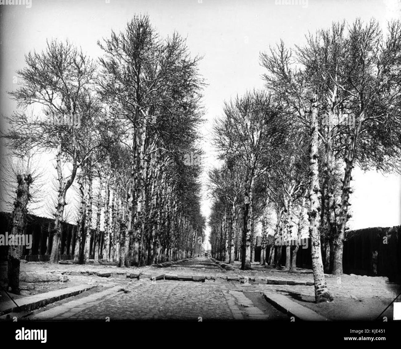 Charbagh Isfahan 1800s Stock Photo - Alamy