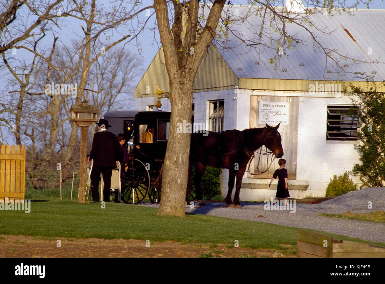 Amish children farming hi-res stock photography and images - Alamy