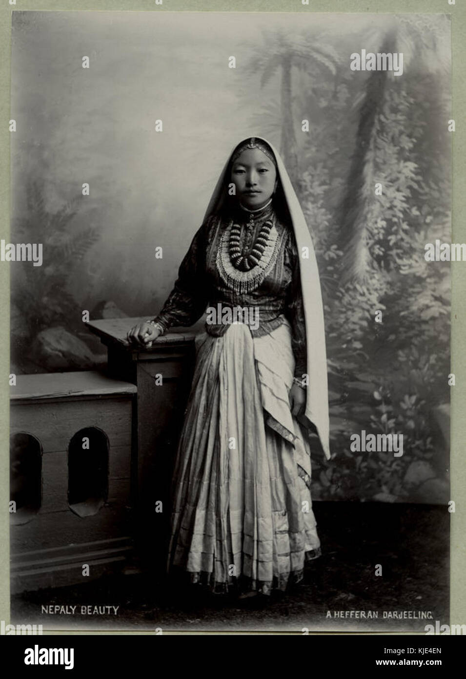 A Nepali woman in Darjeeling in the 1890s (1 Stock Photo - Alamy