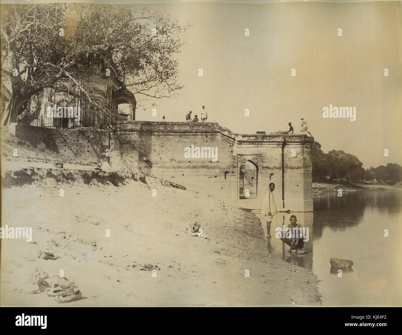 Chaura High Resolution Stock Photography and Images - Alamy