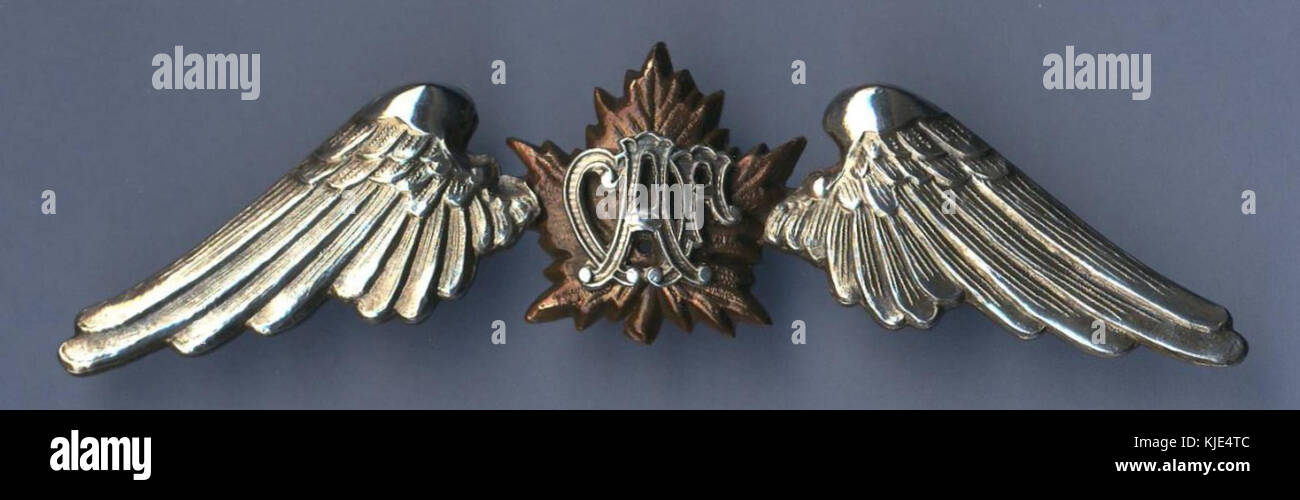 CAF pilots wing, Type 2 circa 1920, ex R.H. Drummond collection Stock ...