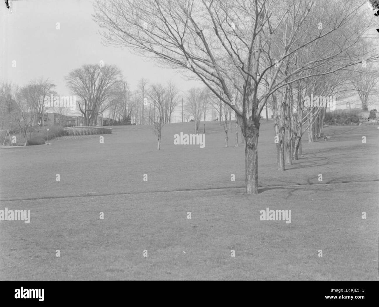 Parks. Murray Park BAnQ P48S1P02965 Stock Photo - Alamy