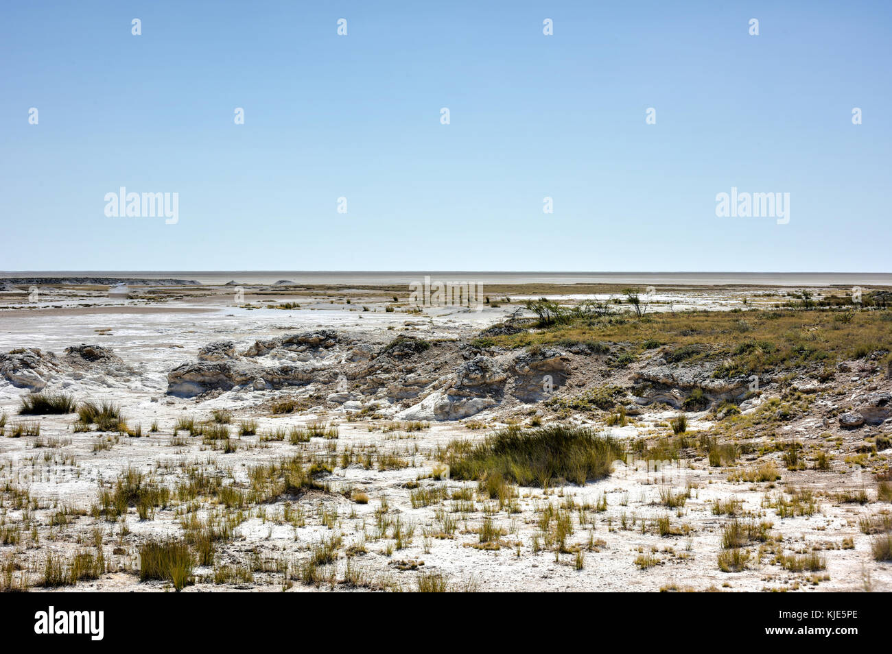 The Etosha pan is a large endorheic salt pan, forming part of the ...