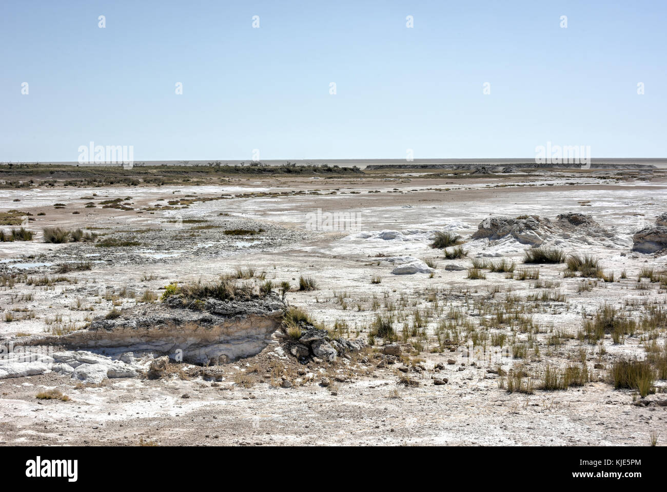 The Etosha pan is a large endorheic salt pan, forming part of the ...