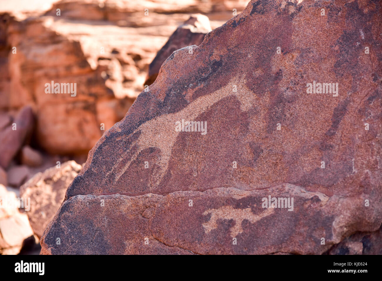 Bushman prehistoric rock engravings at the UNESCO World Heritage Center ...