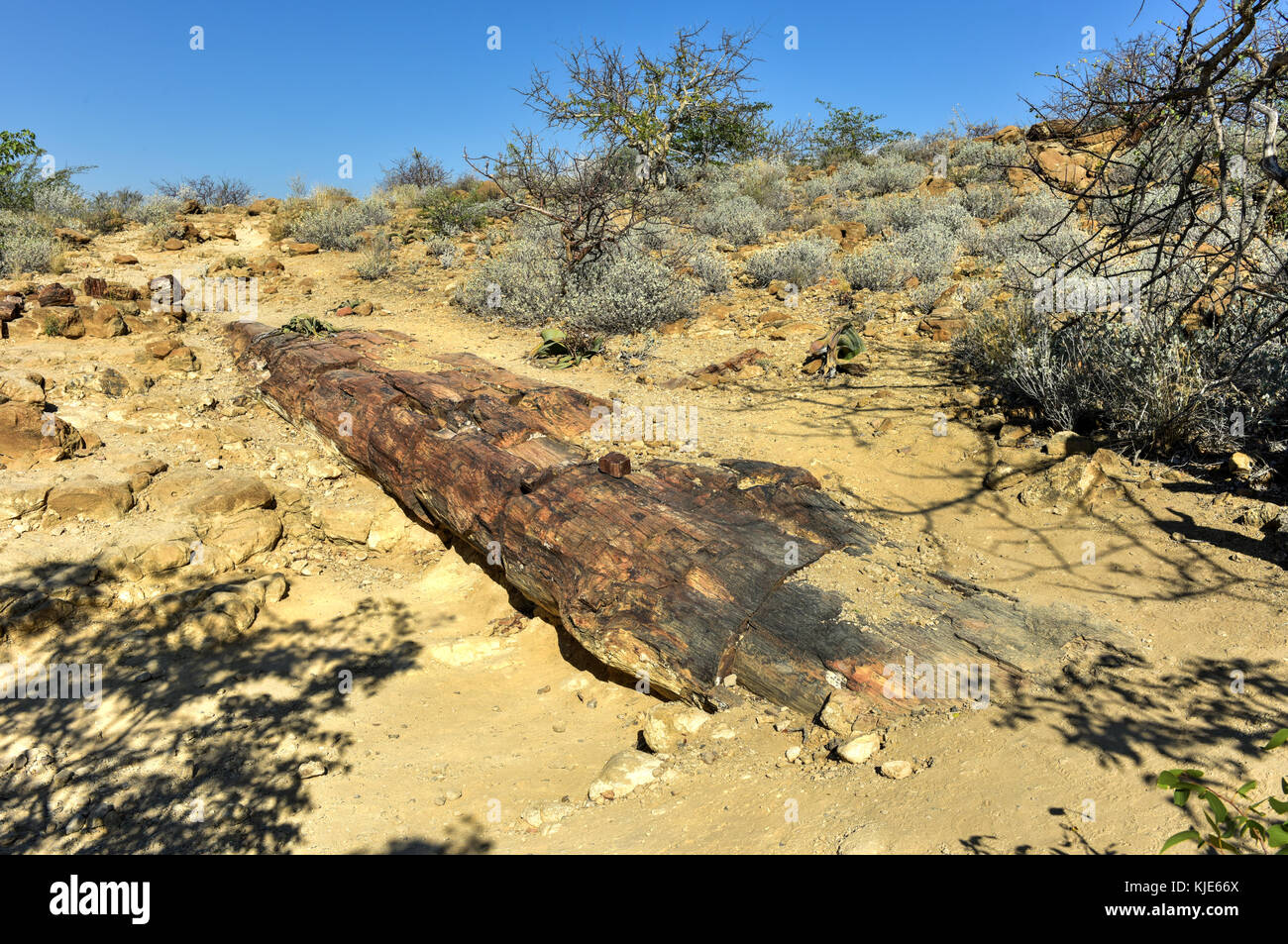 Khorixas namibia hi-res stock photography and images - Alamy