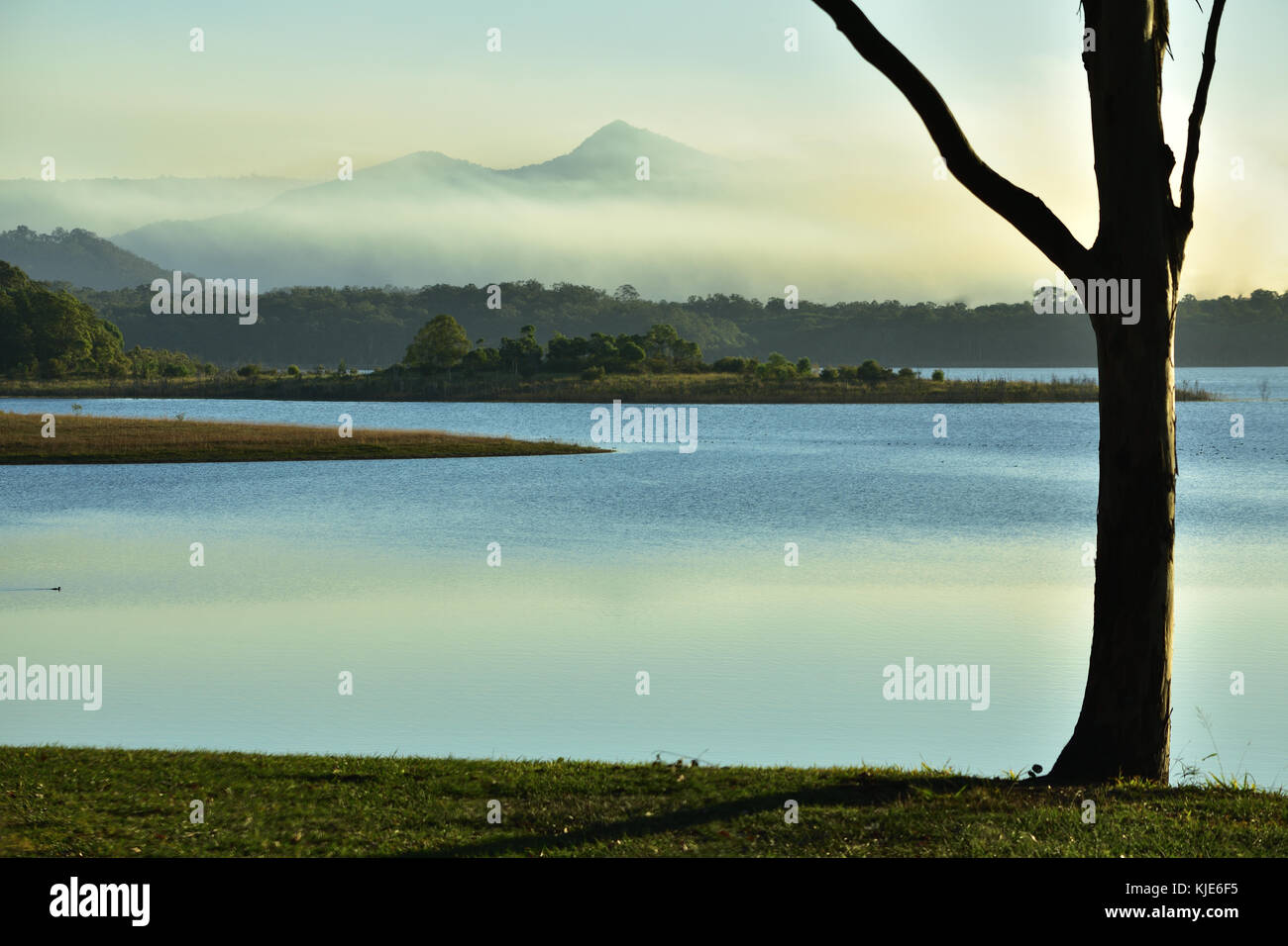 Samsonvale High Resolution Stock Photography and Images - Alamy