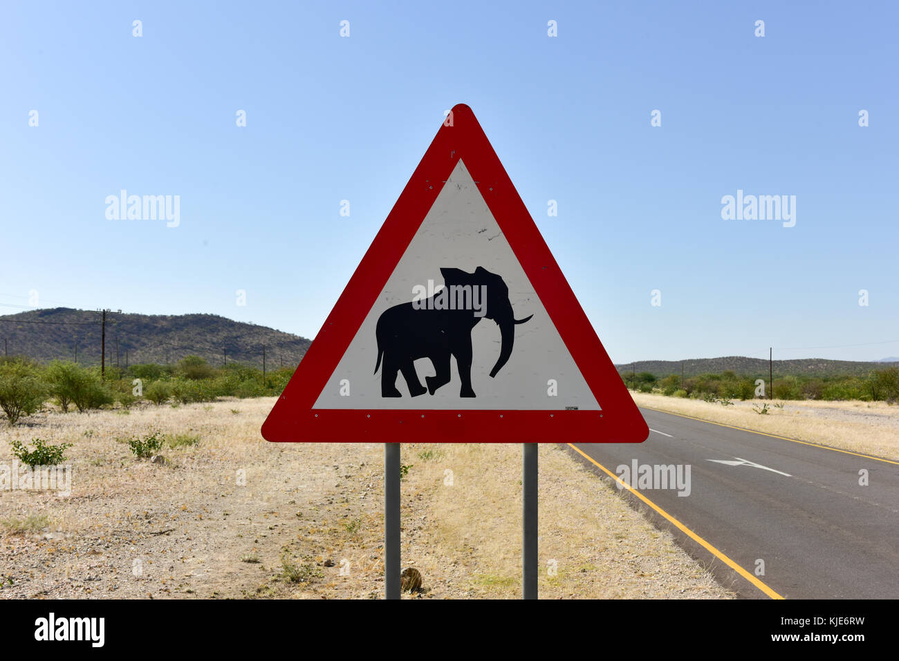 Road sign elephants crossing hi-res stock photography and images - Alamy