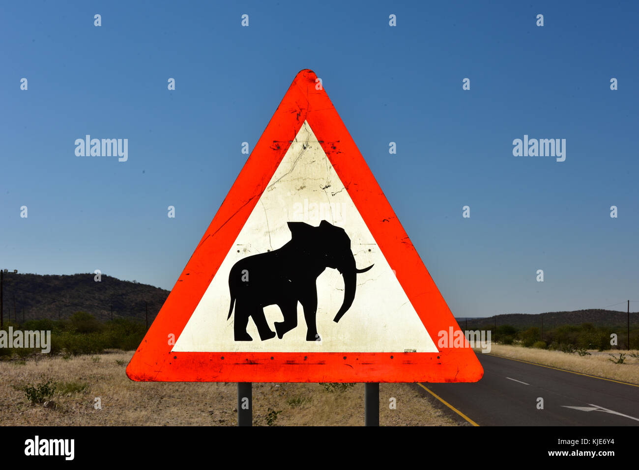Caution: Elephants! Road sign standing beside road, Namibia, Africa ...