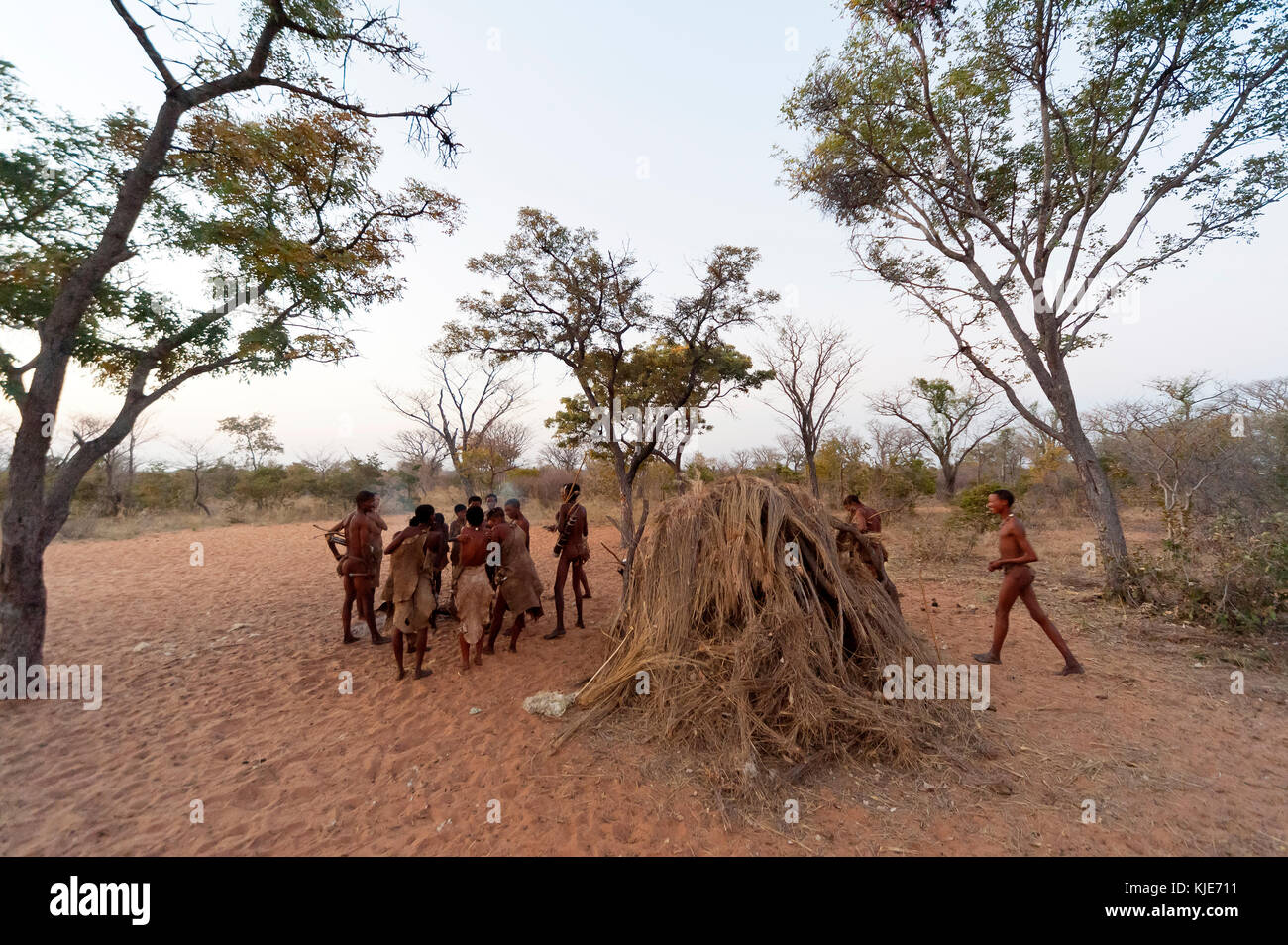 Ju/'Hoansi or San bushmen hunter at their village, Grashoek. They are ...