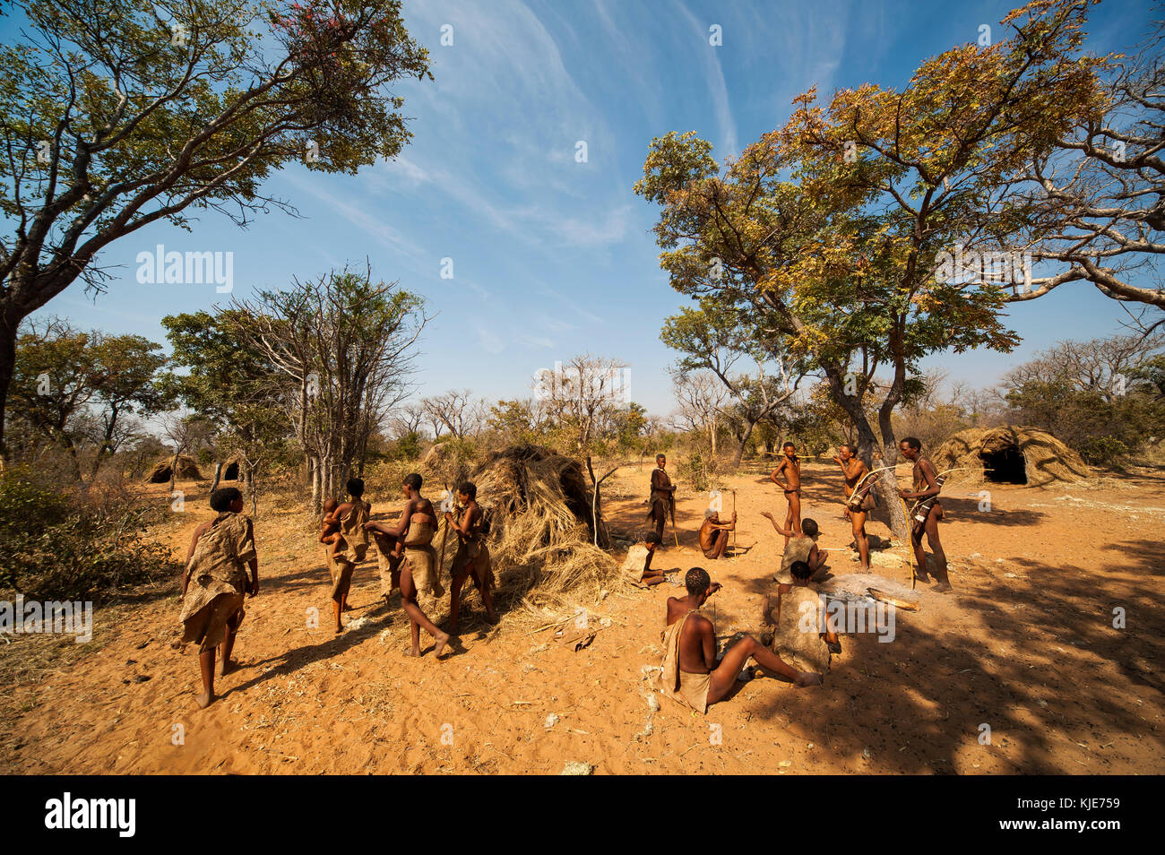 Ju/'Hoansi or San bushmen hunter at their village, Grashoek. They are ...