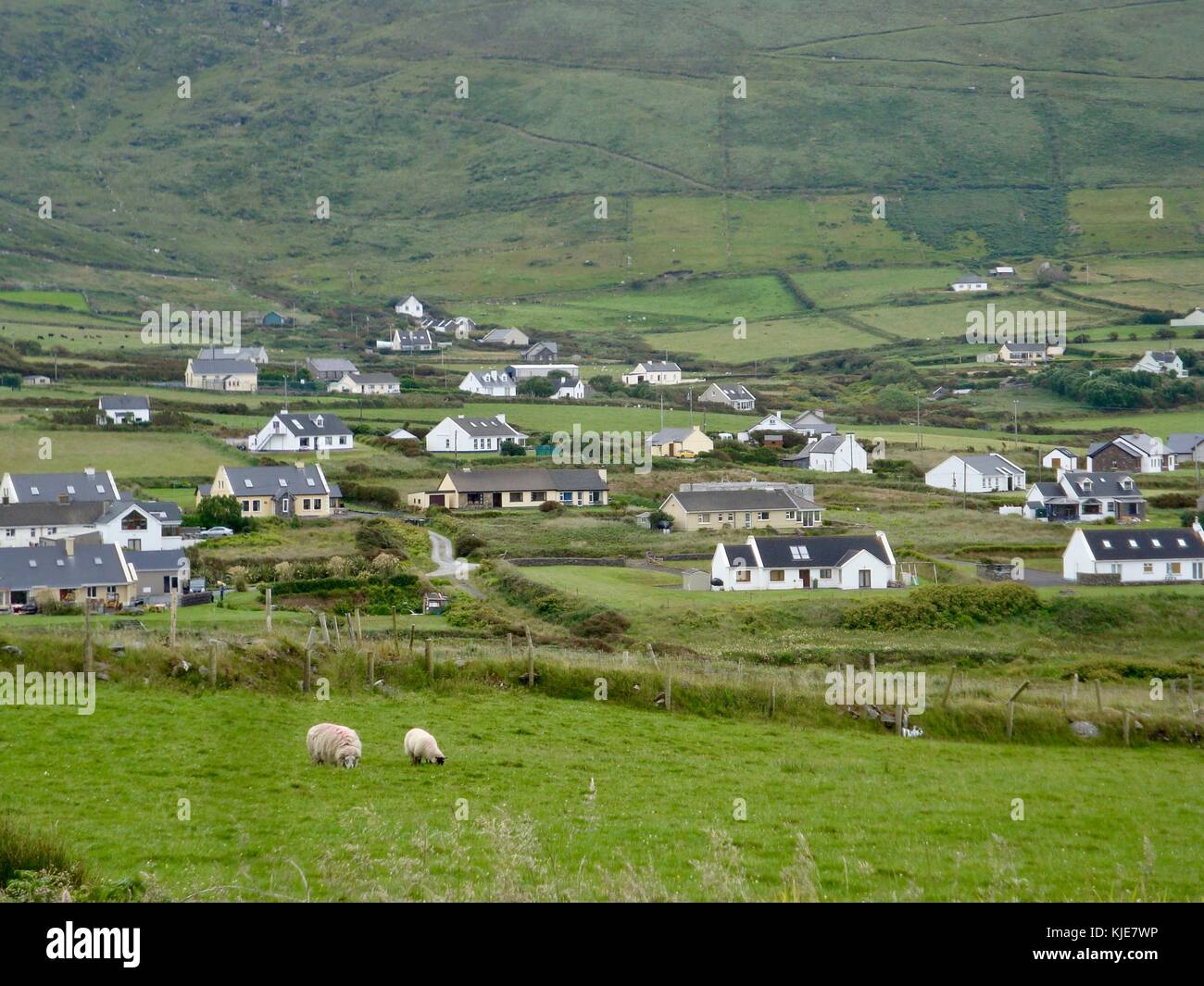 Sprawling Rural Country Landscape in Ireland with Houses and Sheep ...