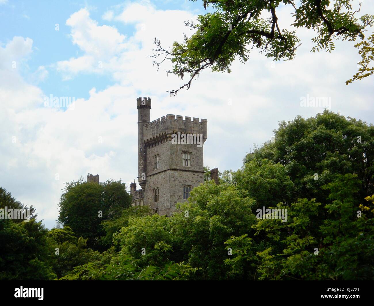 Castle tower emerging from forest of trees in Ireland - Green walls and ...