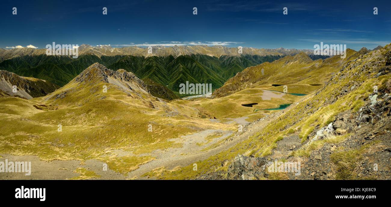 Landscape New Zealand - Nelson National Park panorama with forest line ...