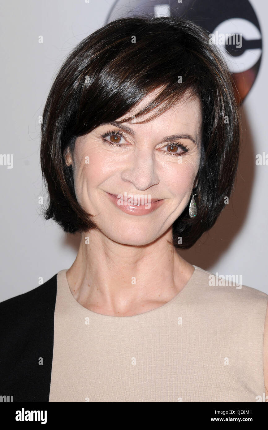 NEW YORK, NY - MAY 17: Elizabeth Vargas attends 2016 ABC Upfront at ...
