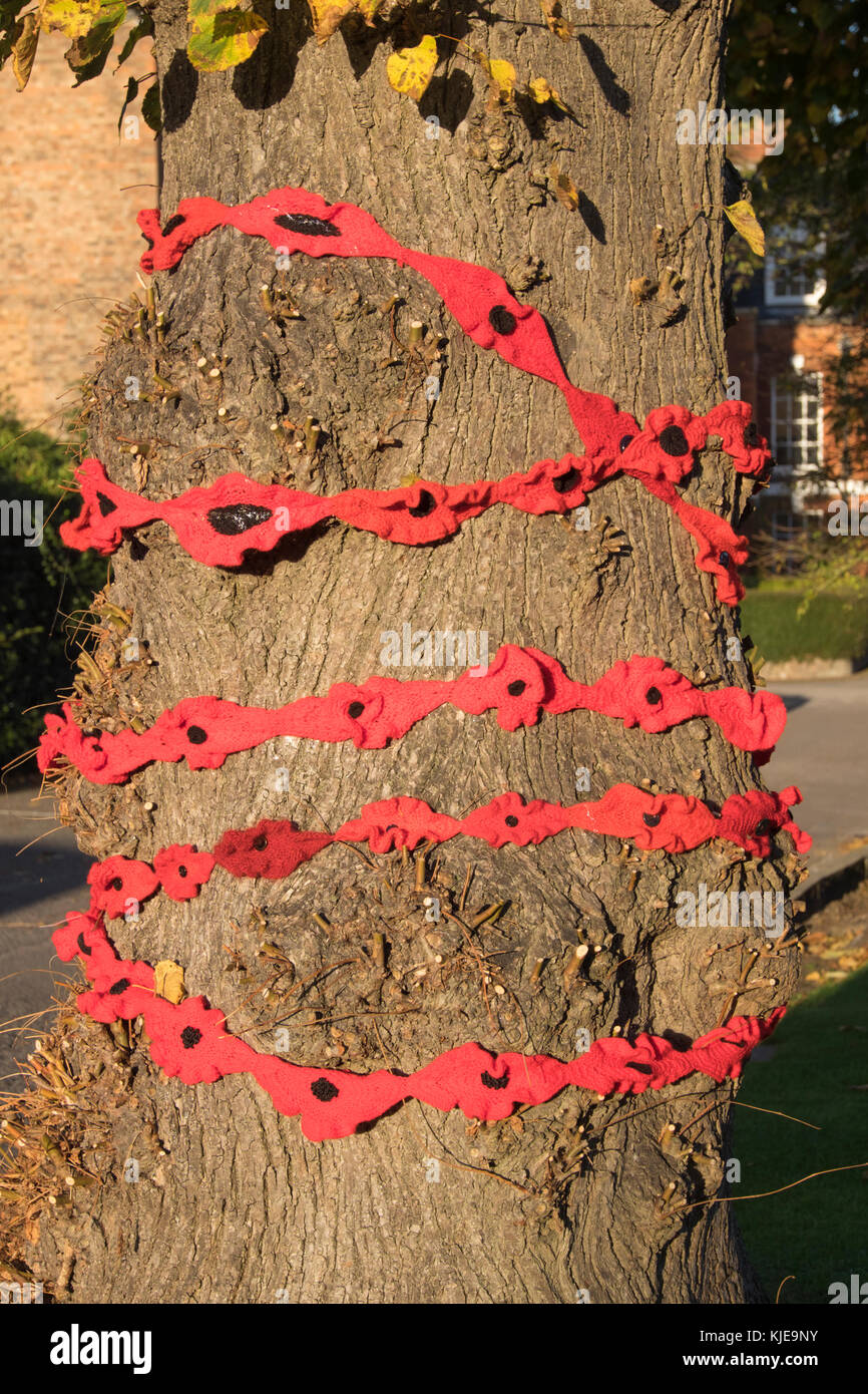 The trees near the war memorial in the grounds of Gloucester Cathedral ...