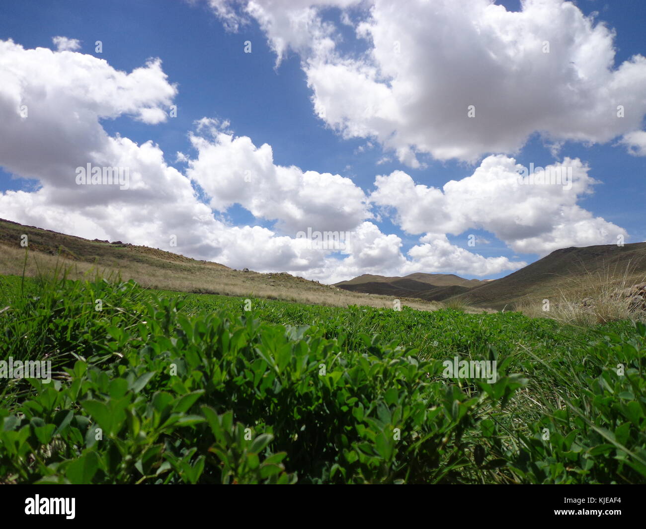 Cielo azul hi-res stock photography and images - Alamy