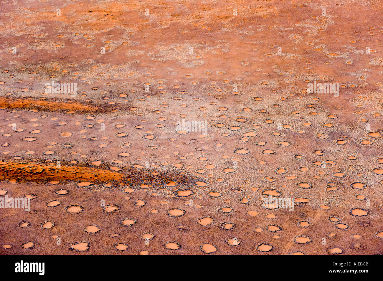 Aerial view of fairy circles, located in the Namib Desert, in the Namib ...