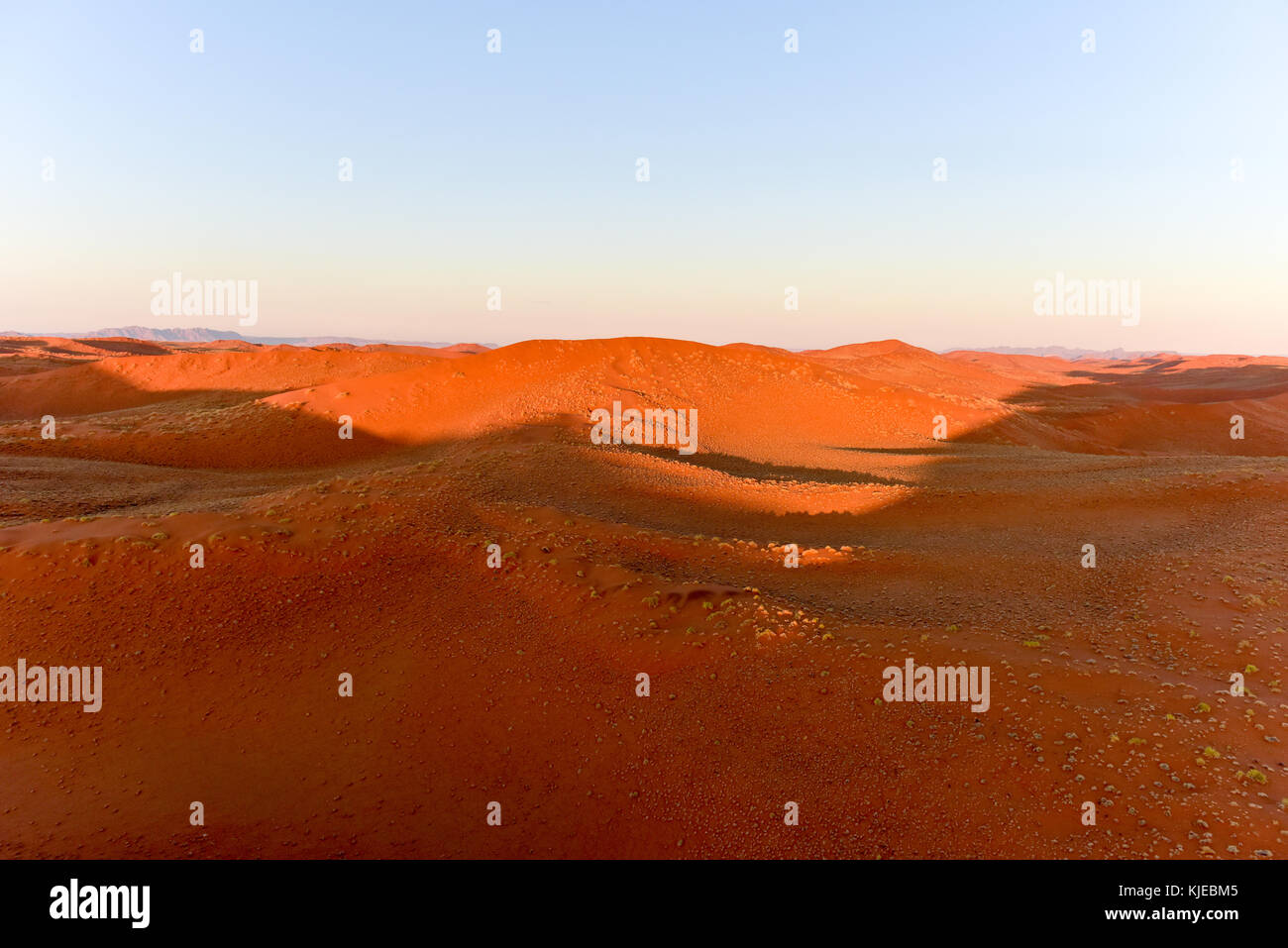 Aerial view of high red dunes, located in the Namib Desert, in the ...