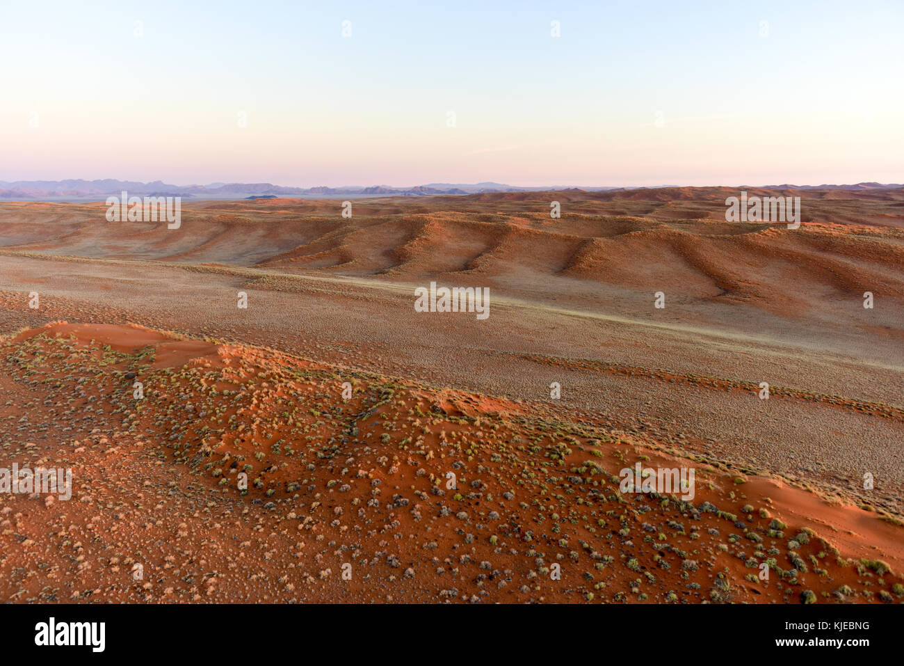 Aerial view of high red dunes, located in the Namib Desert, in the ...