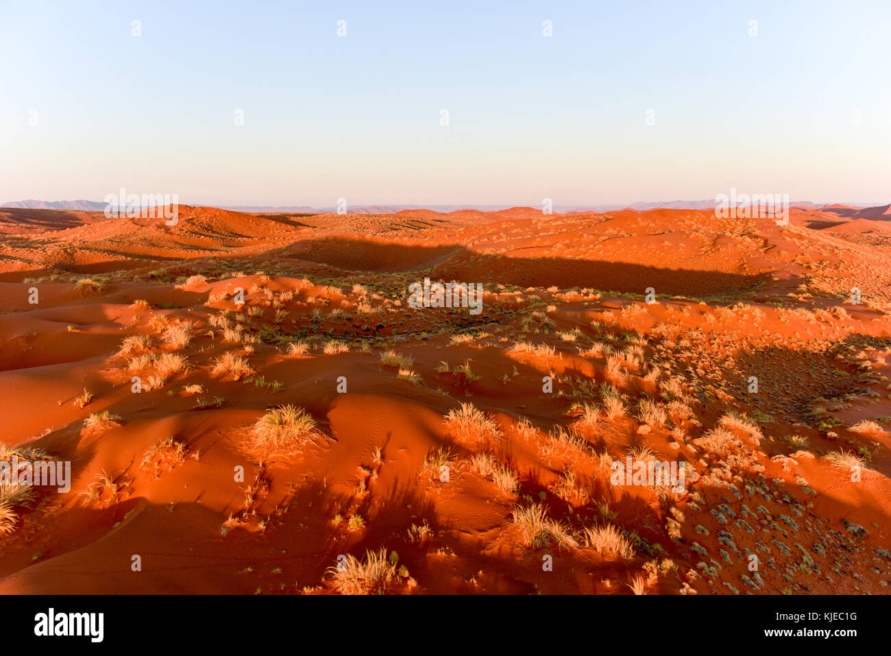 Aerial view of high red dunes, located in the Namib Desert, in the ...