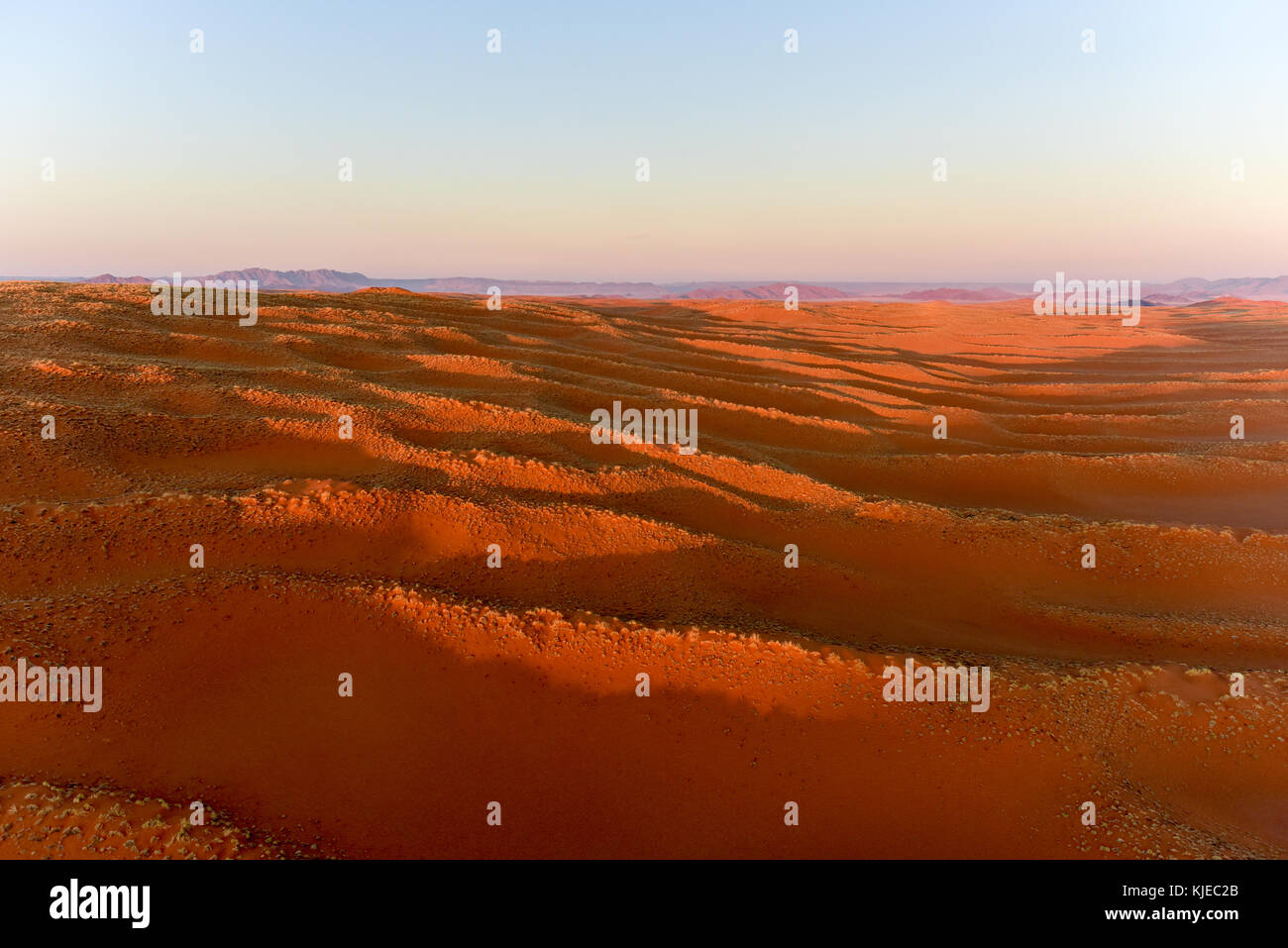 Aerial view of high red dunes, located in the Namib Desert, in the ...