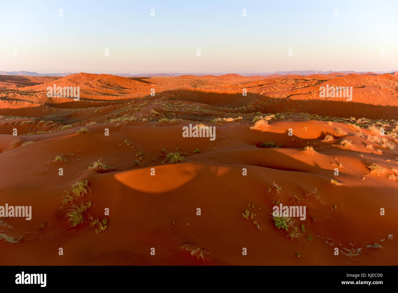 Aerial view of high red dunes, located in the Namib Desert, in the ...