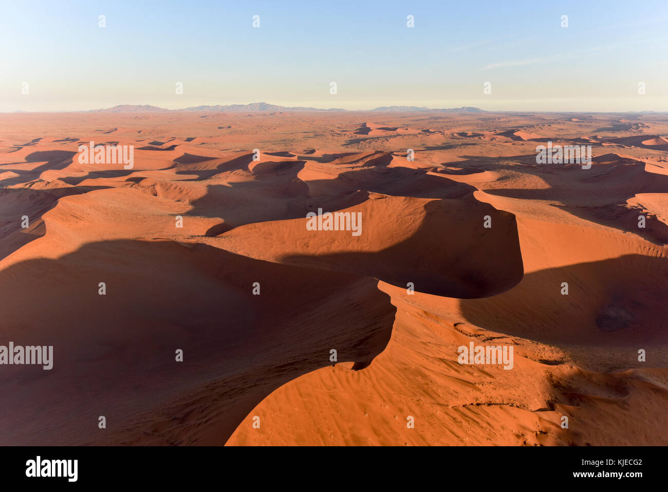 Aerial view of high red dunes, located in the Namib Desert, in the ...