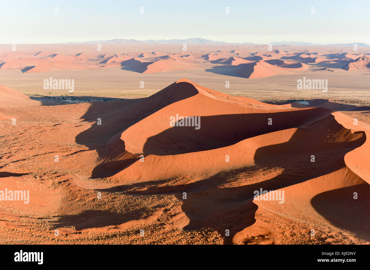 Aerial view of high red dunes, located in the Namib Desert, in the ...