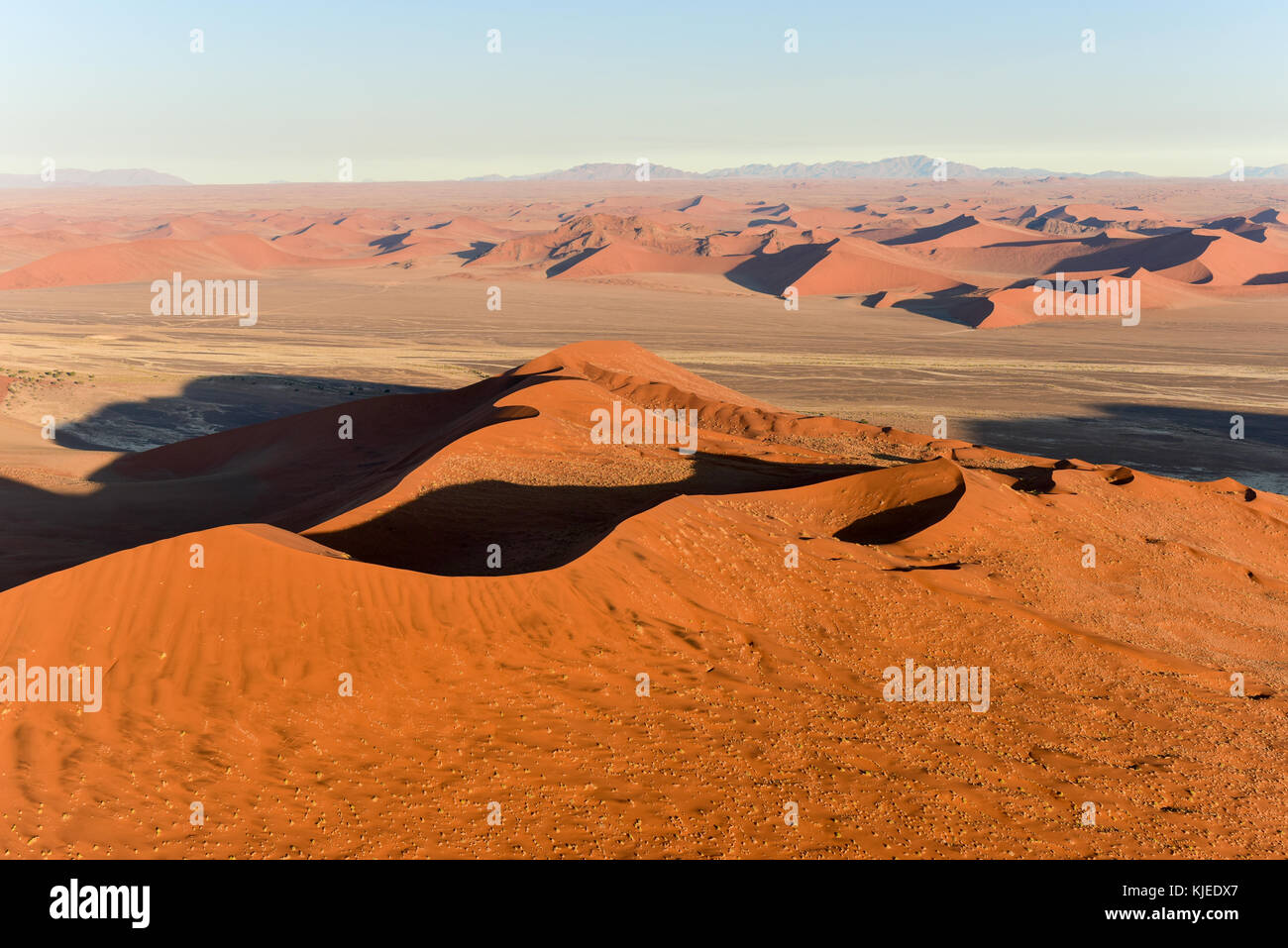 Aerial view of high red dunes, located in the Namib Desert, in the Namib-Naukluft National Park ...