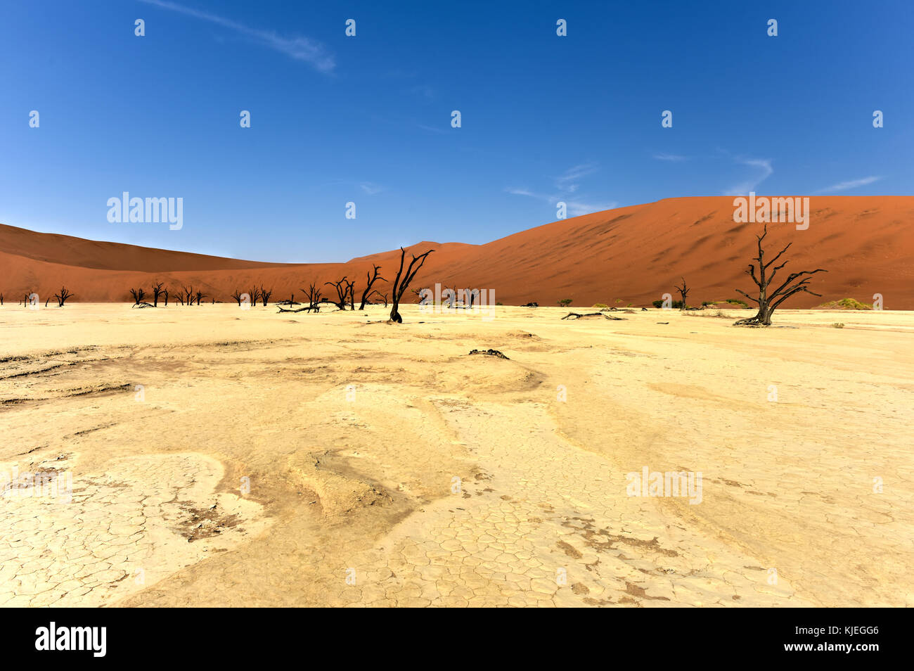Dead Vlei in the southern part of the Namib Desert, in the Namib ...