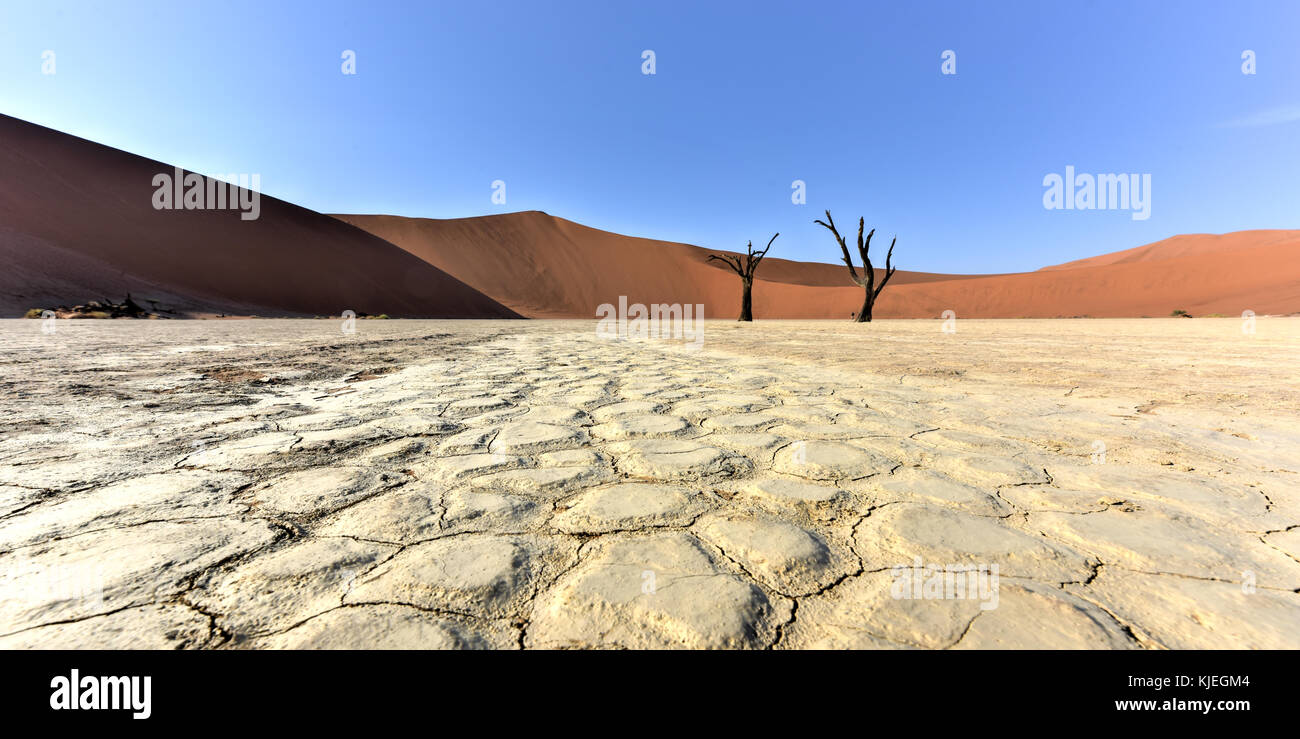 Dead Vlei in the southern part of the Namib Desert, in the Namib ...