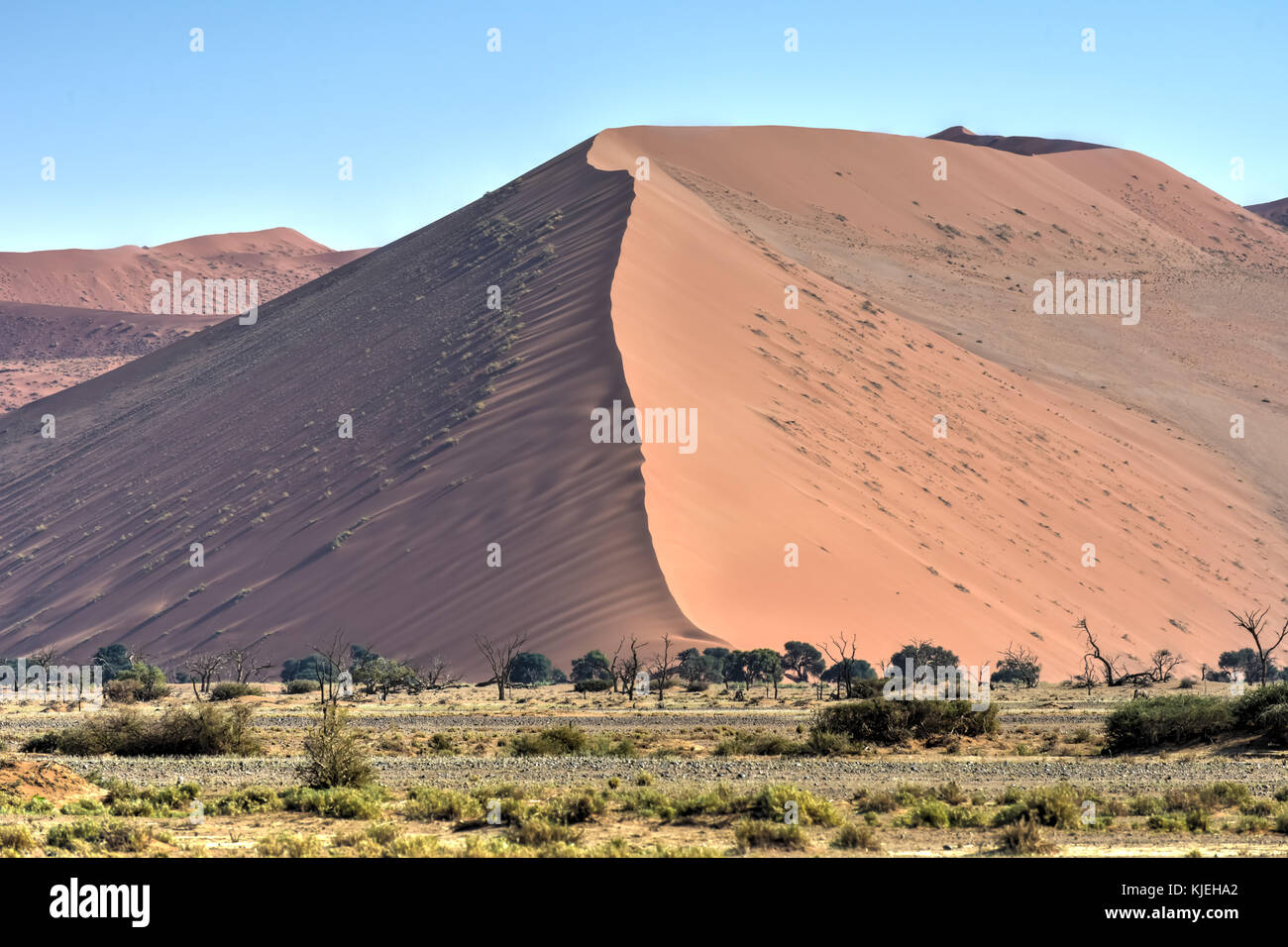 High red dunes, located in the Namib Desert, in the Namib-Naukluft ...