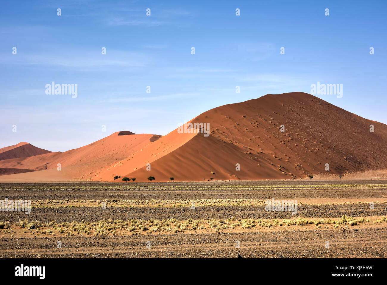 High red dunes, located in the Namib Desert, in the Namib-Naukluft ...