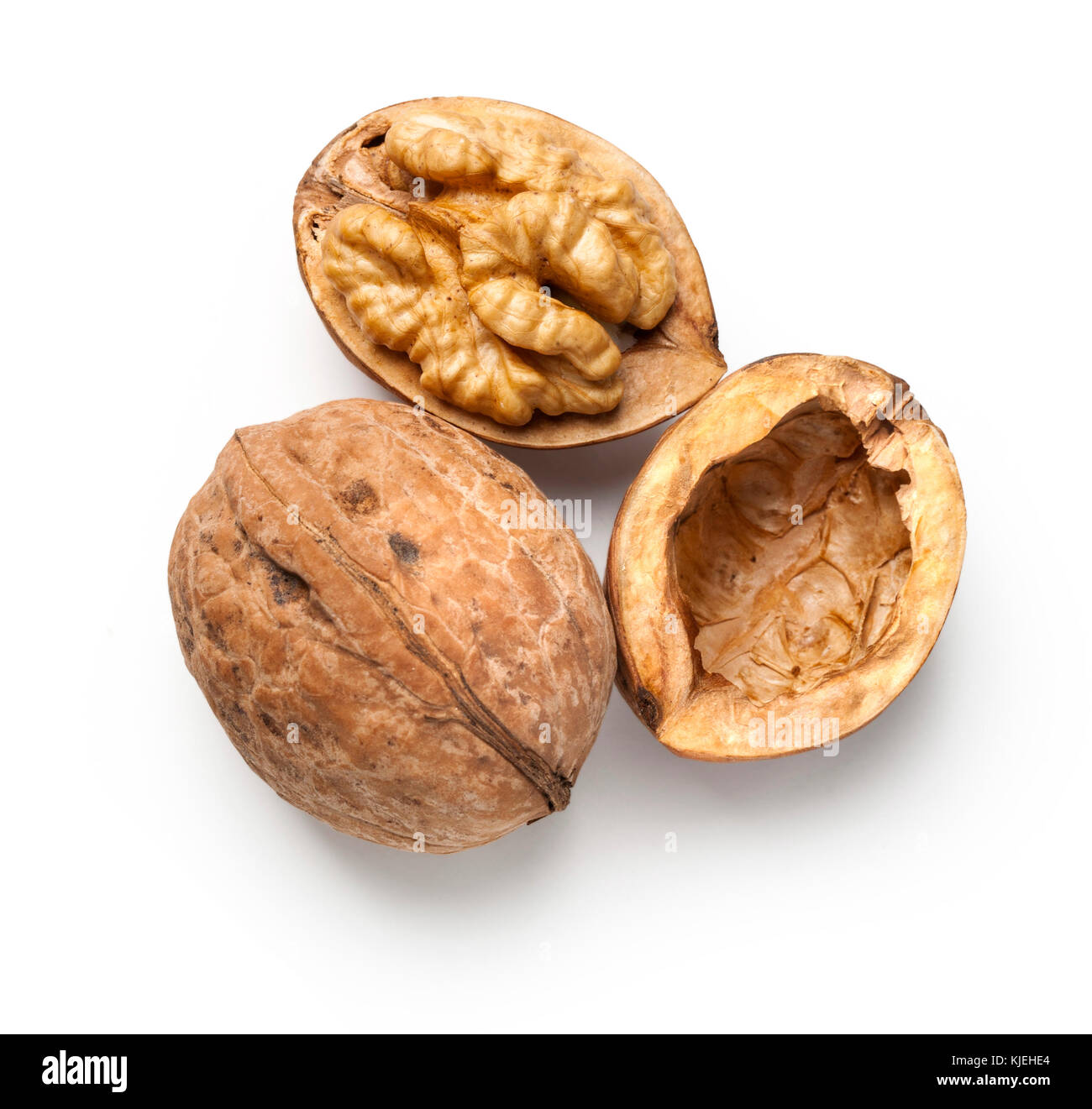 Dried walnut close upon white background with clipping path Stock Photo ...