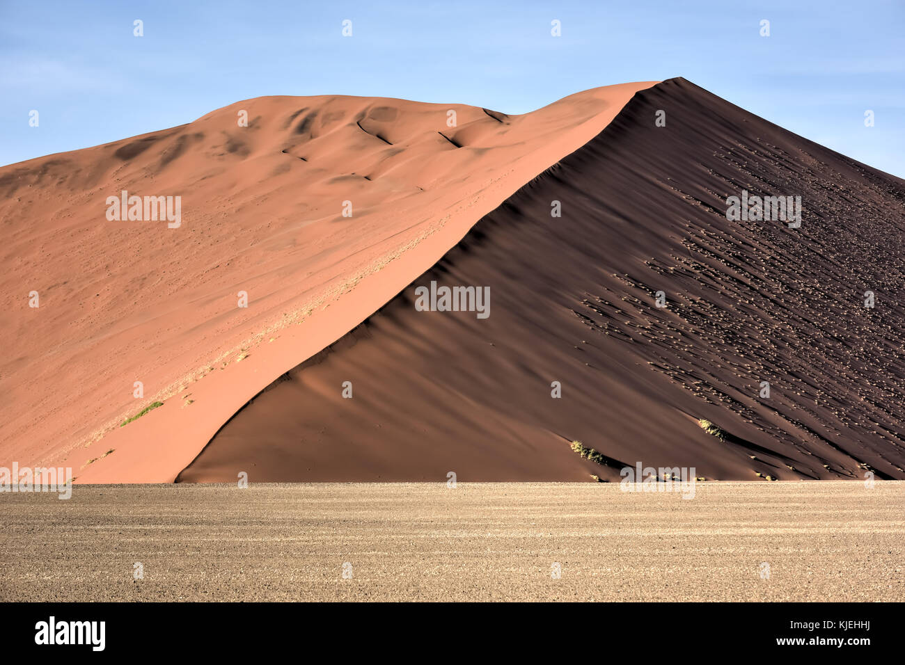High red dunes, located in the Namib Desert, in the Namib-Naukluft ...