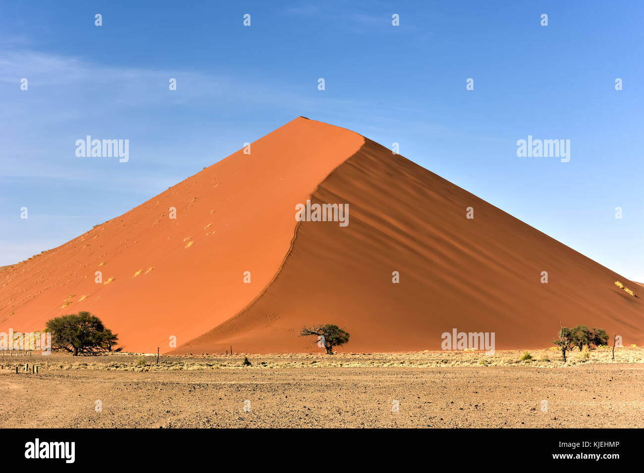 High red dunes, located in the Namib Desert, in the Namib-Naukluft ...