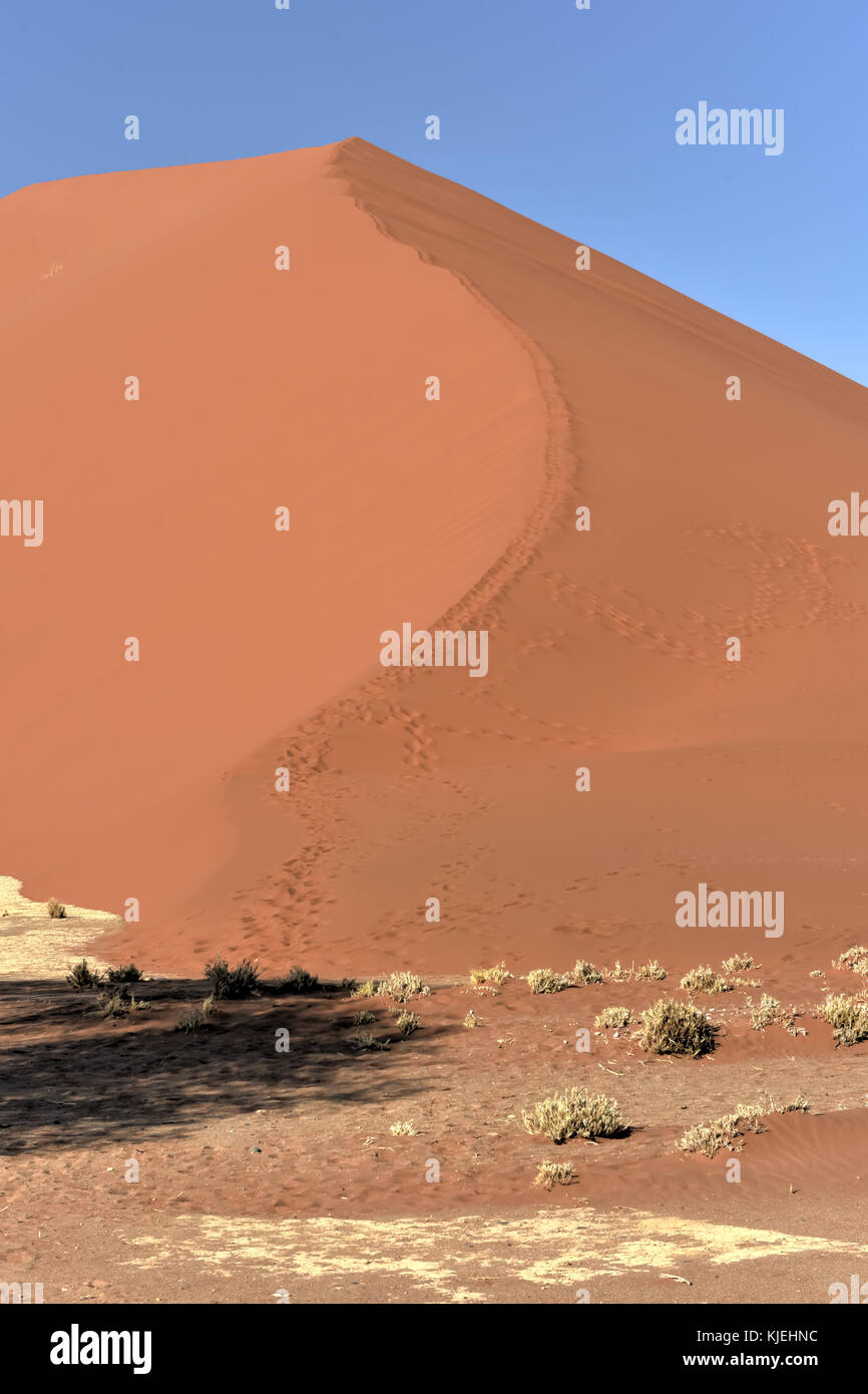 High red dunes, located in the Namib Desert, in the Namib-Naukluft ...