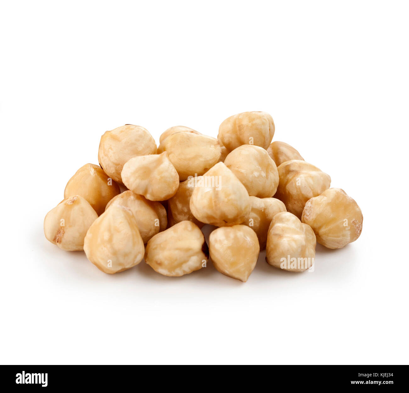 Hazel nut isolated on white background with clipping path Stock Photo ...