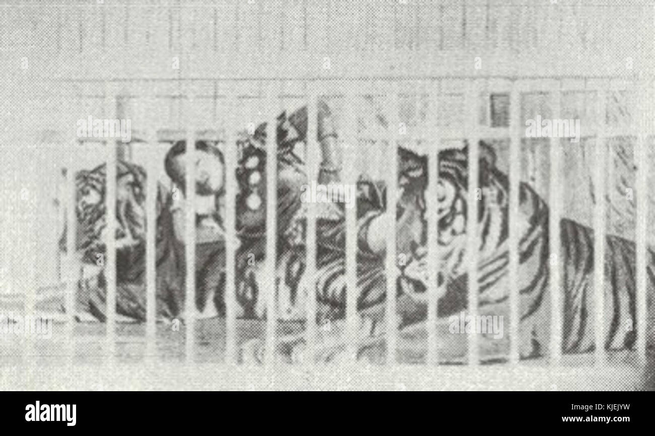 Shumbha and nishumbha hi-res stock photography and images - Alamy