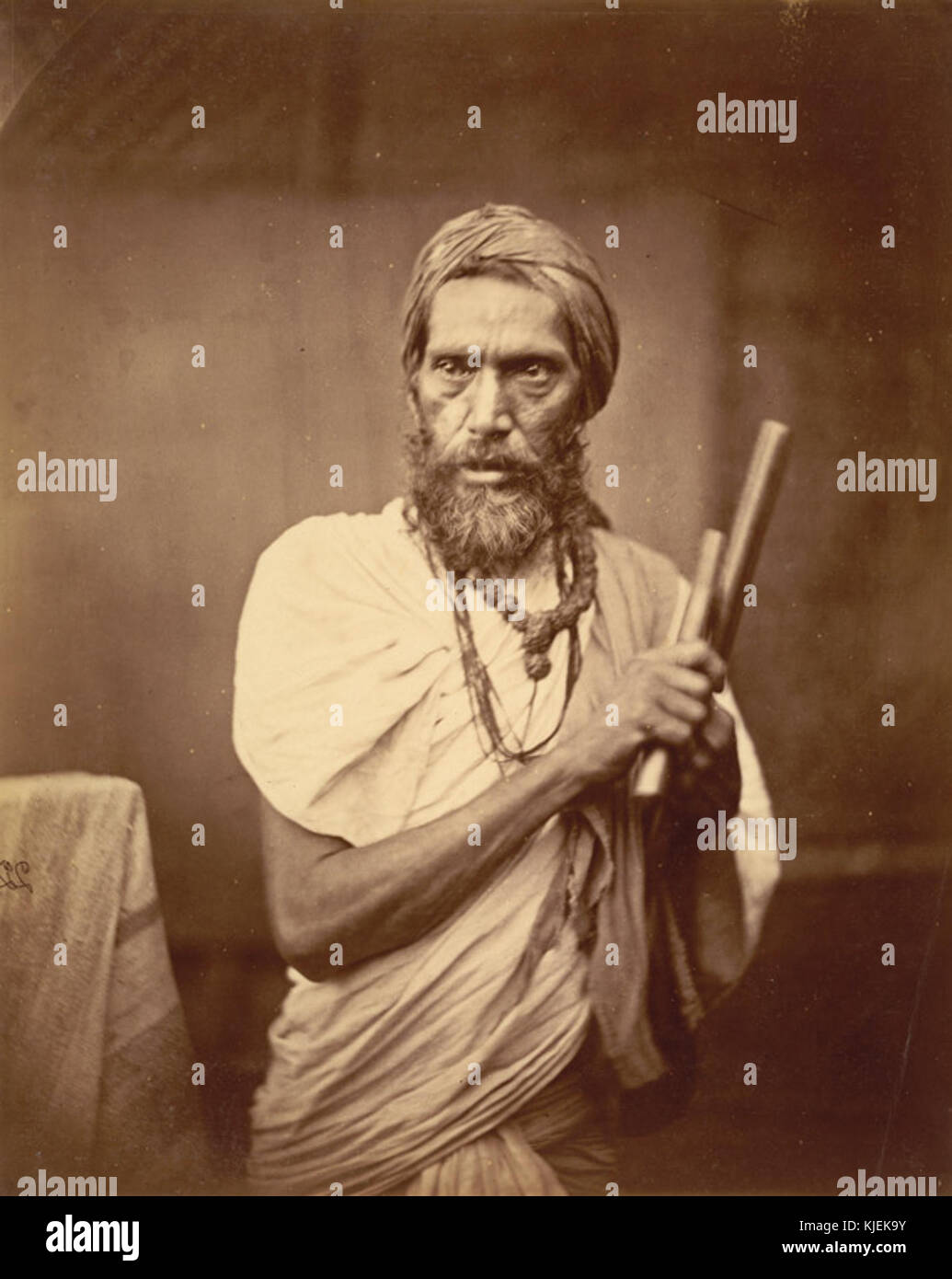 Dandi hi-res stock photography and images - Alamy