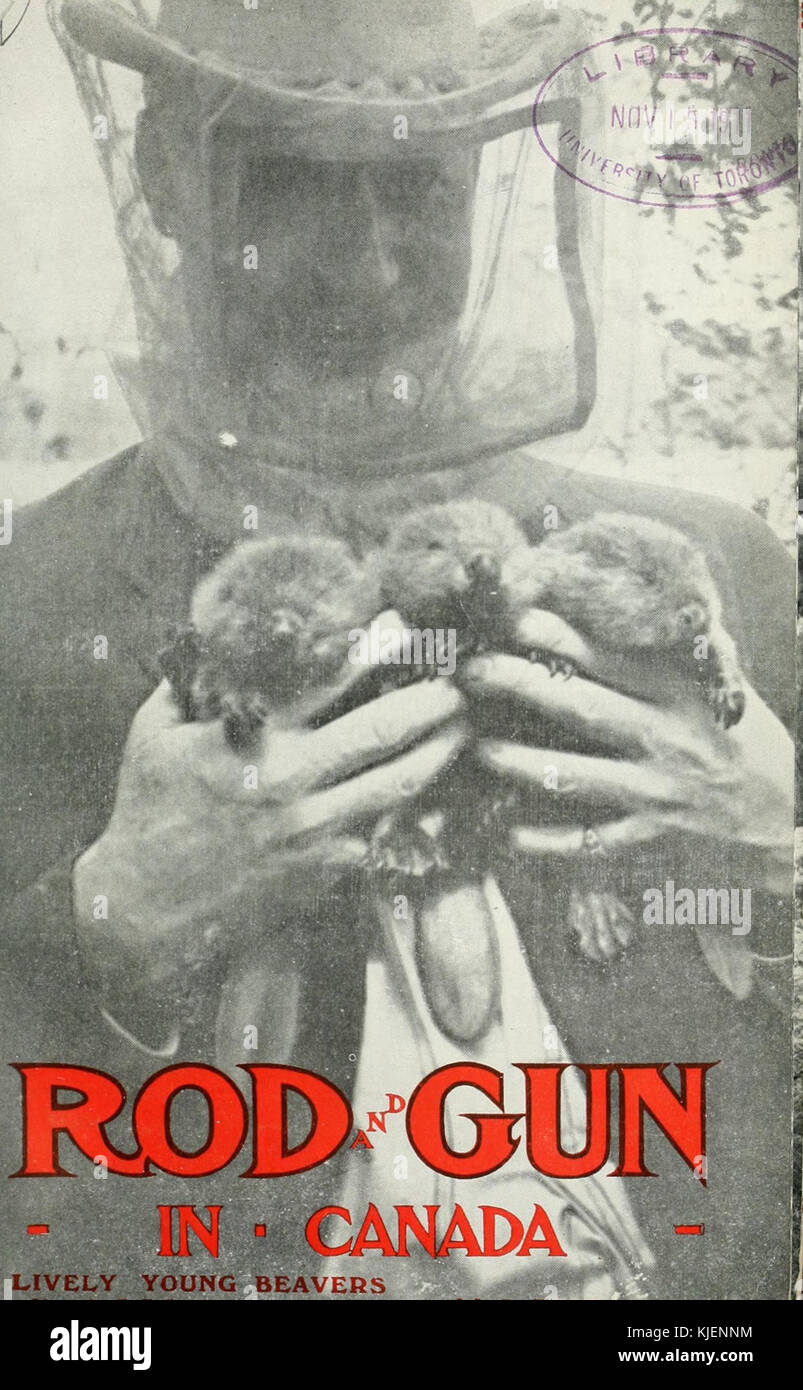 Rod and gun (1898) (14781696114 Stock Photo - Alamy