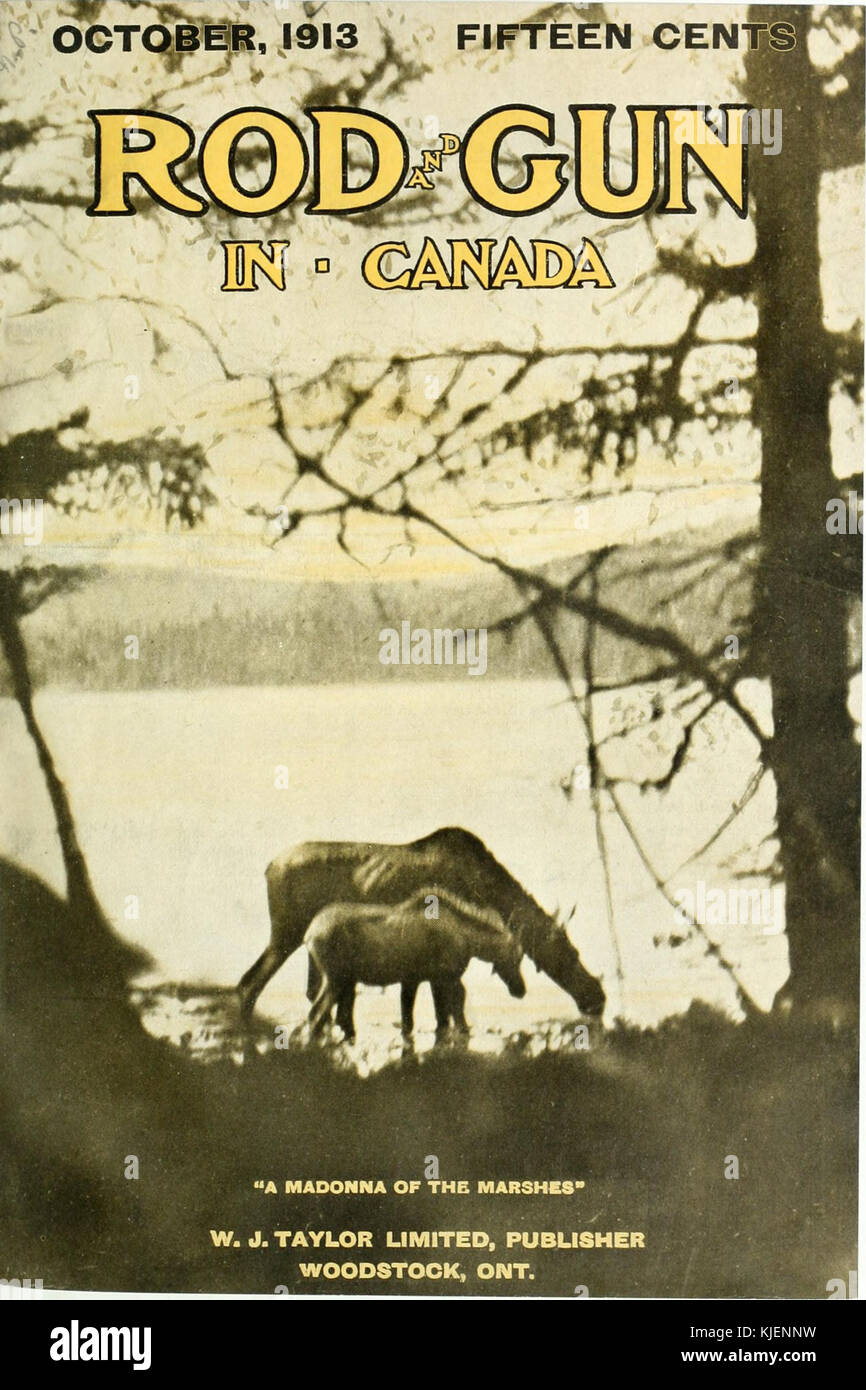 Rod and gun (1898) (14597238270 Stock Photo - Alamy