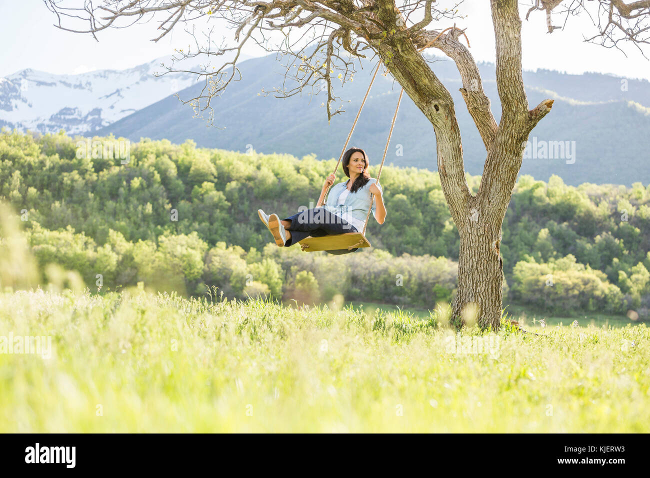 Caucasian woman swinging on tree swing Stock Photo - Alamy