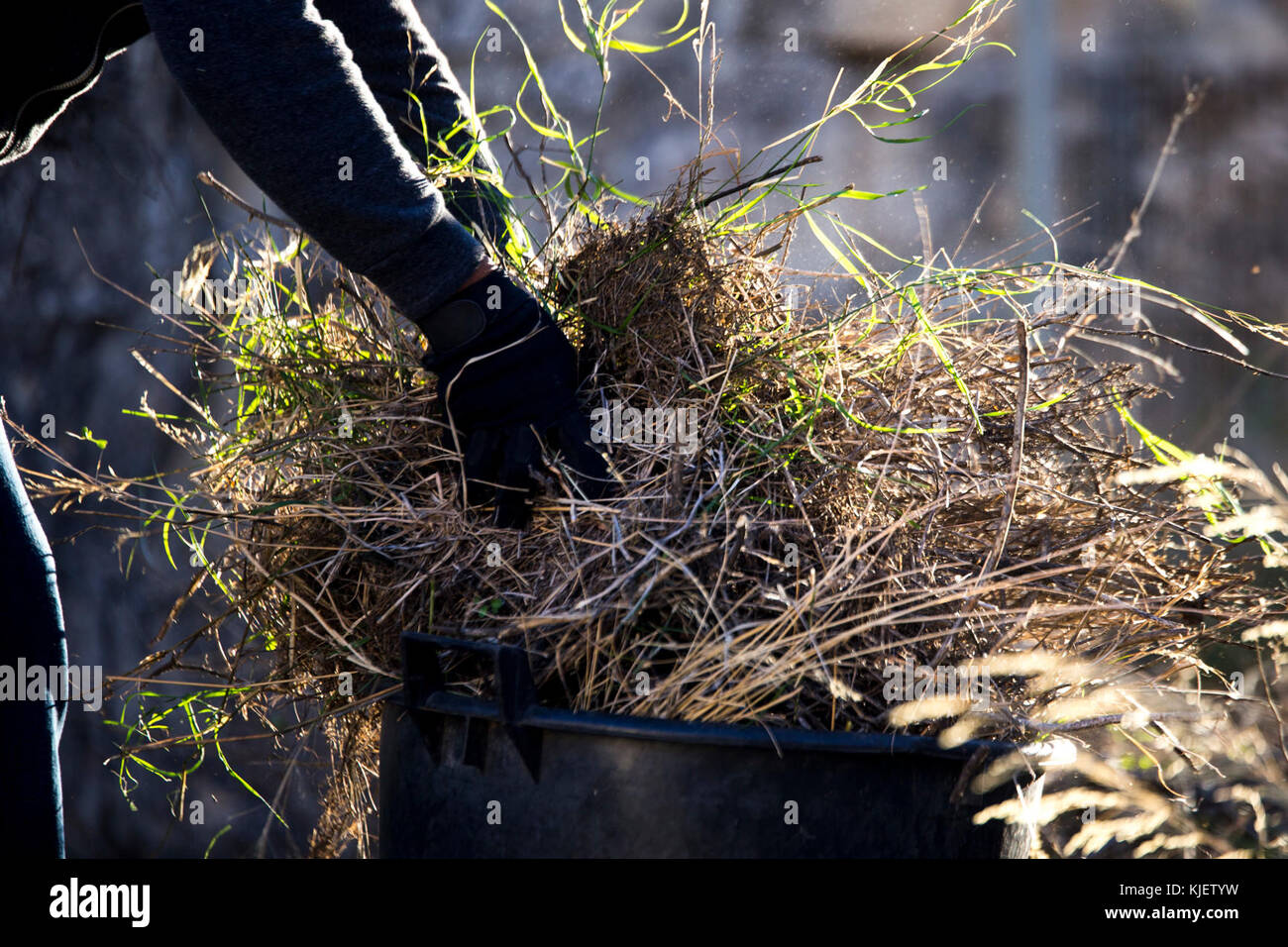 Task force castle hi-res stock photography and images - Alamy