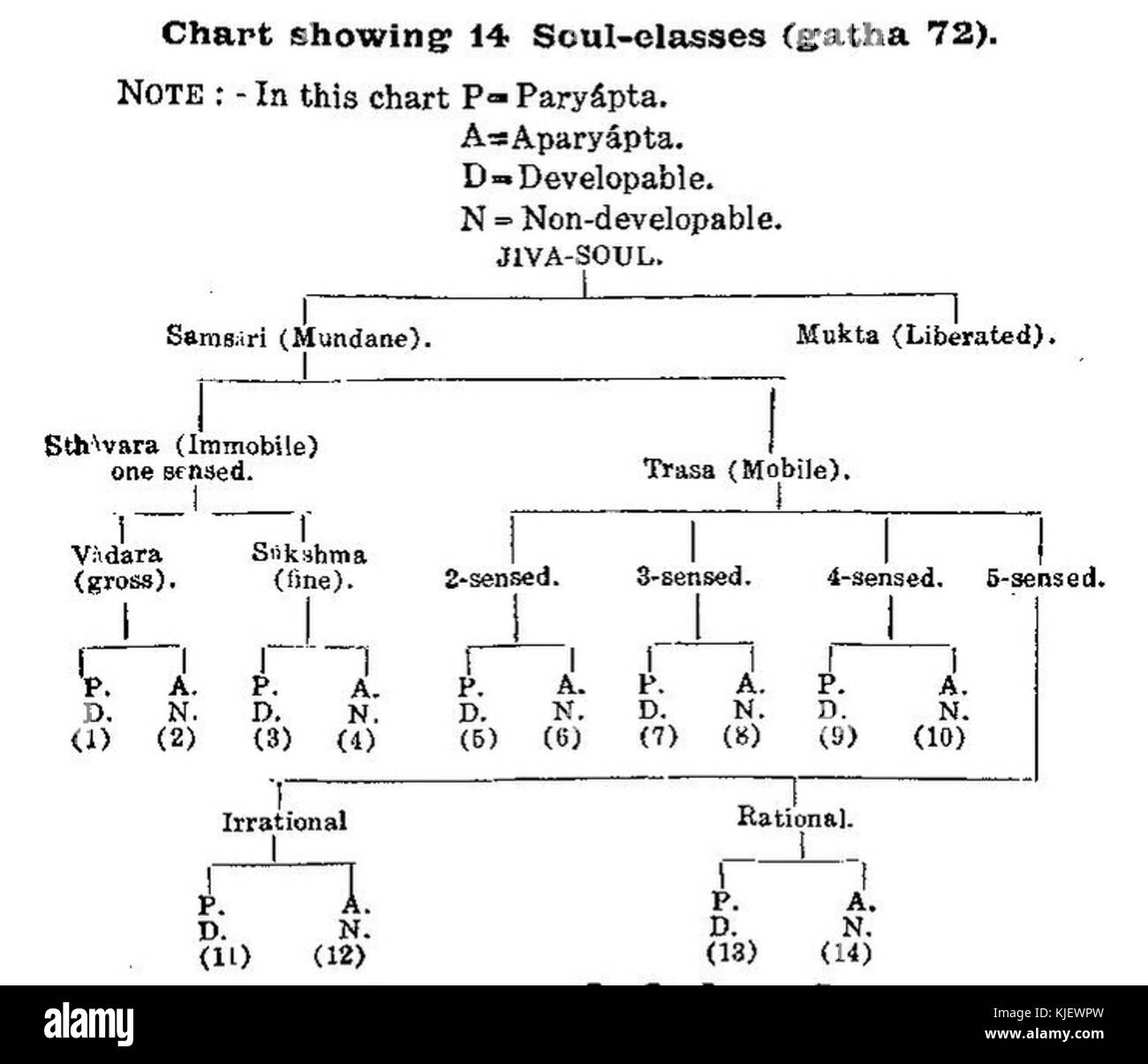 Jiv hi-res stock photography and images - Alamy